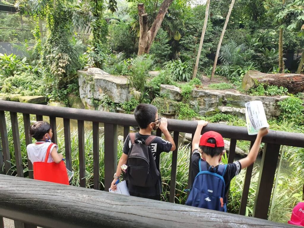 SC (Programmes) - Boys' Town