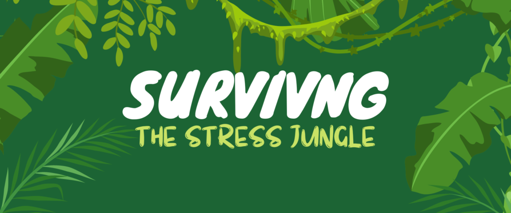 OMP (Programmes) - Boys' Town